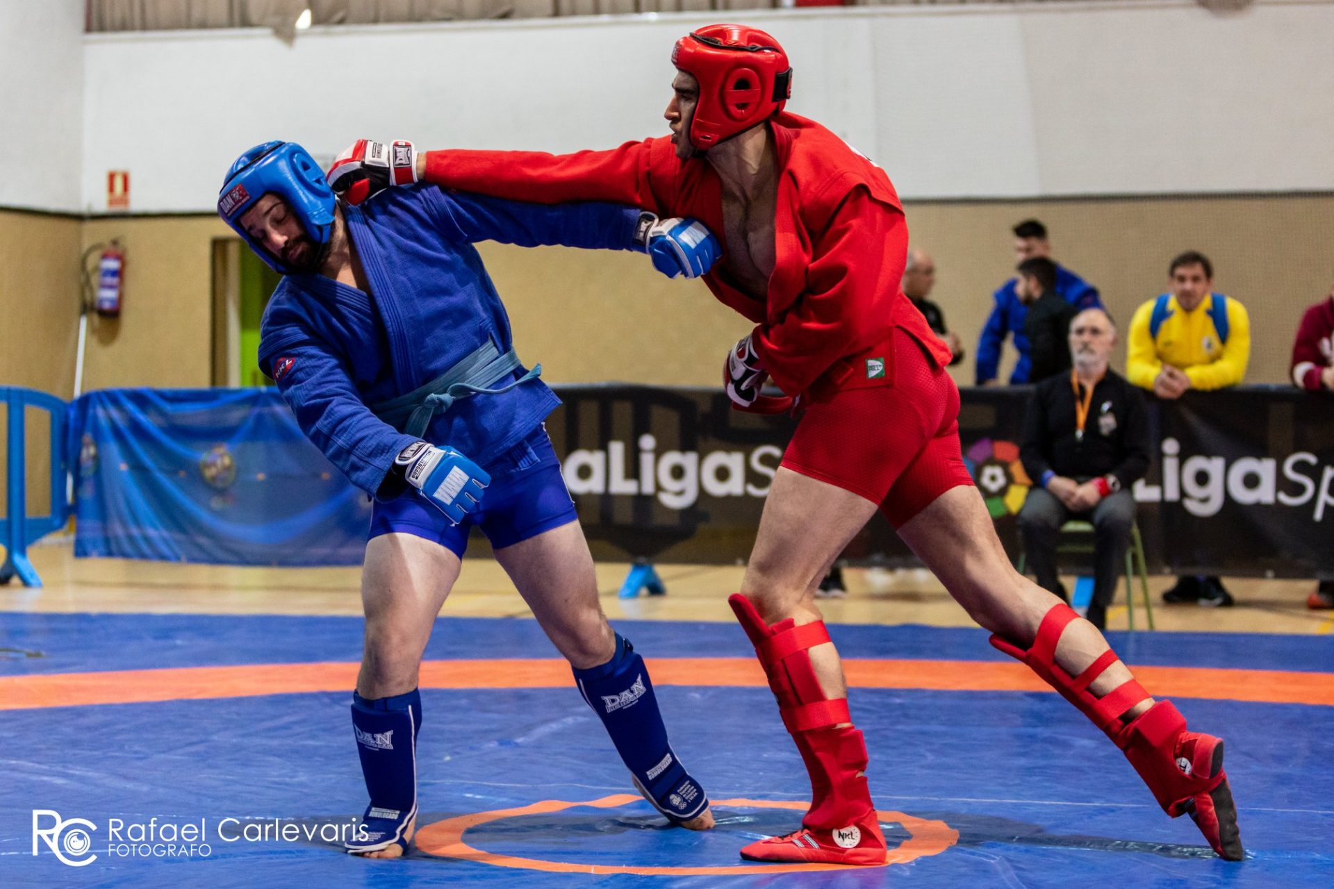 Federación Española de Luchas Olímpicas y Disciplinas Asociadas